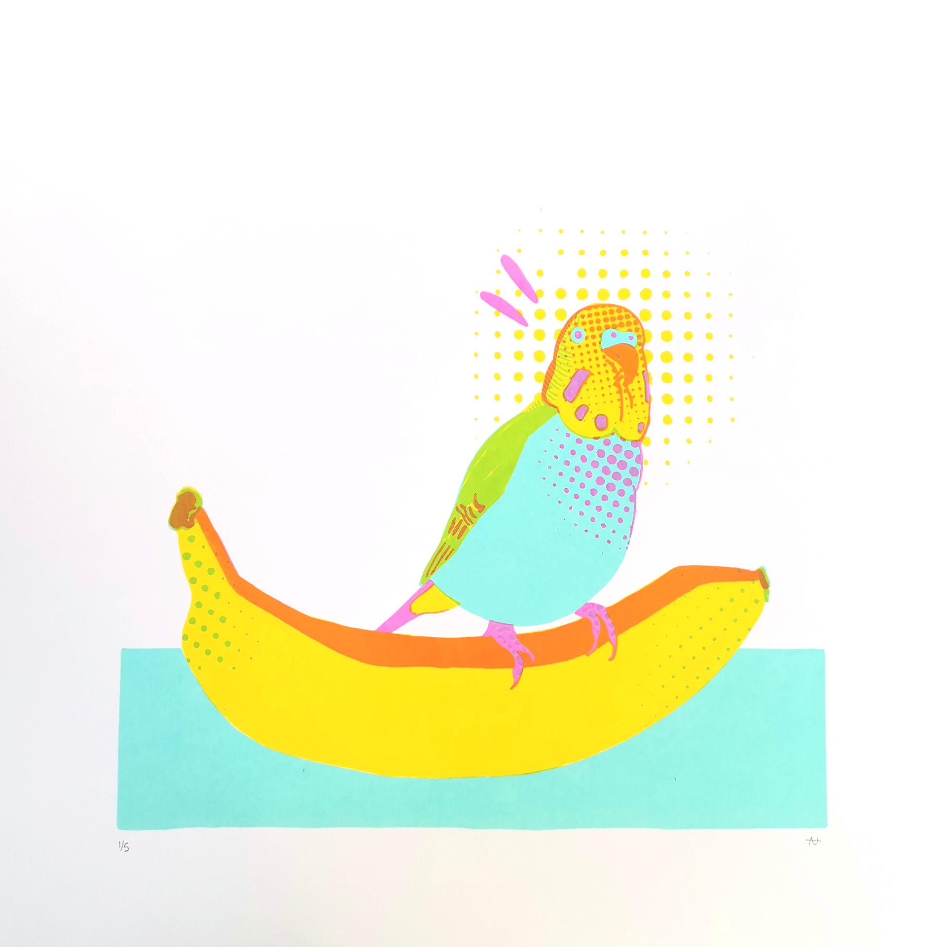 Budgies in Art | | Page 2